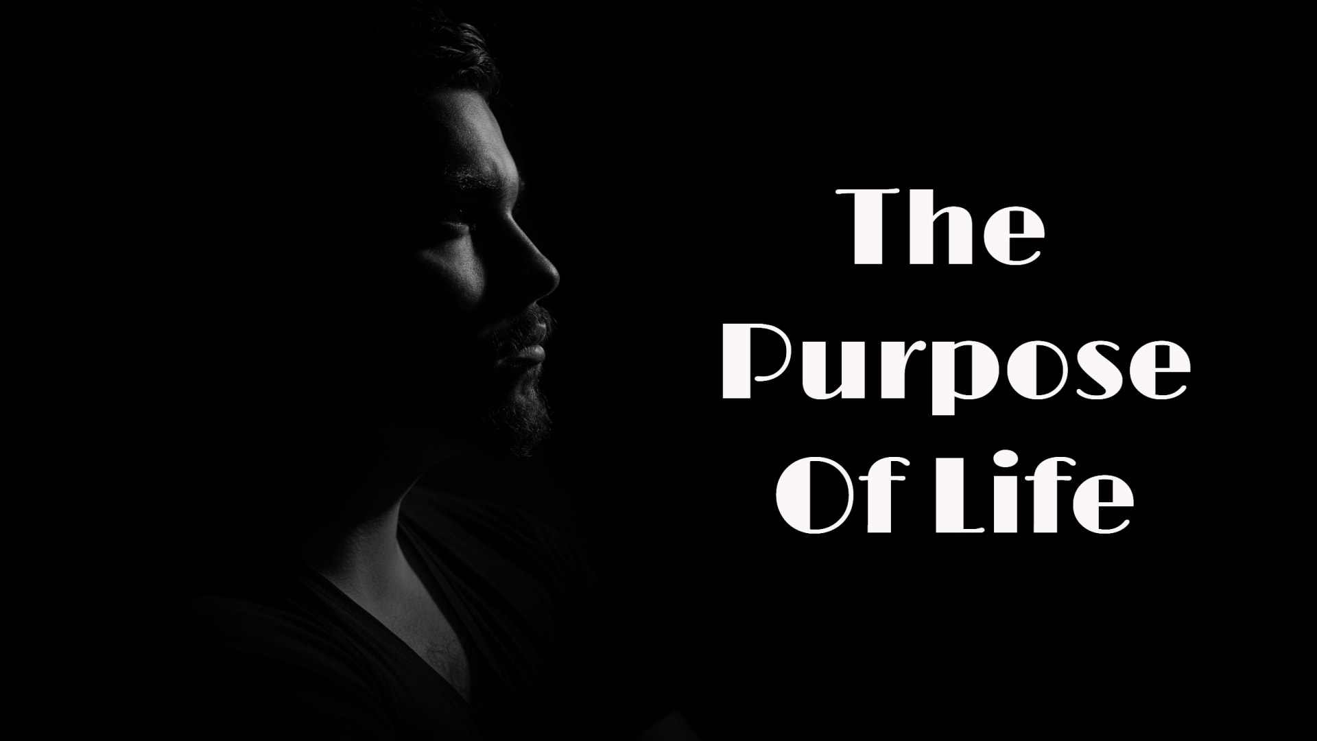What Is The Purpose Of Life Mind Blood What Is The Purpose Of Life Mind Blood