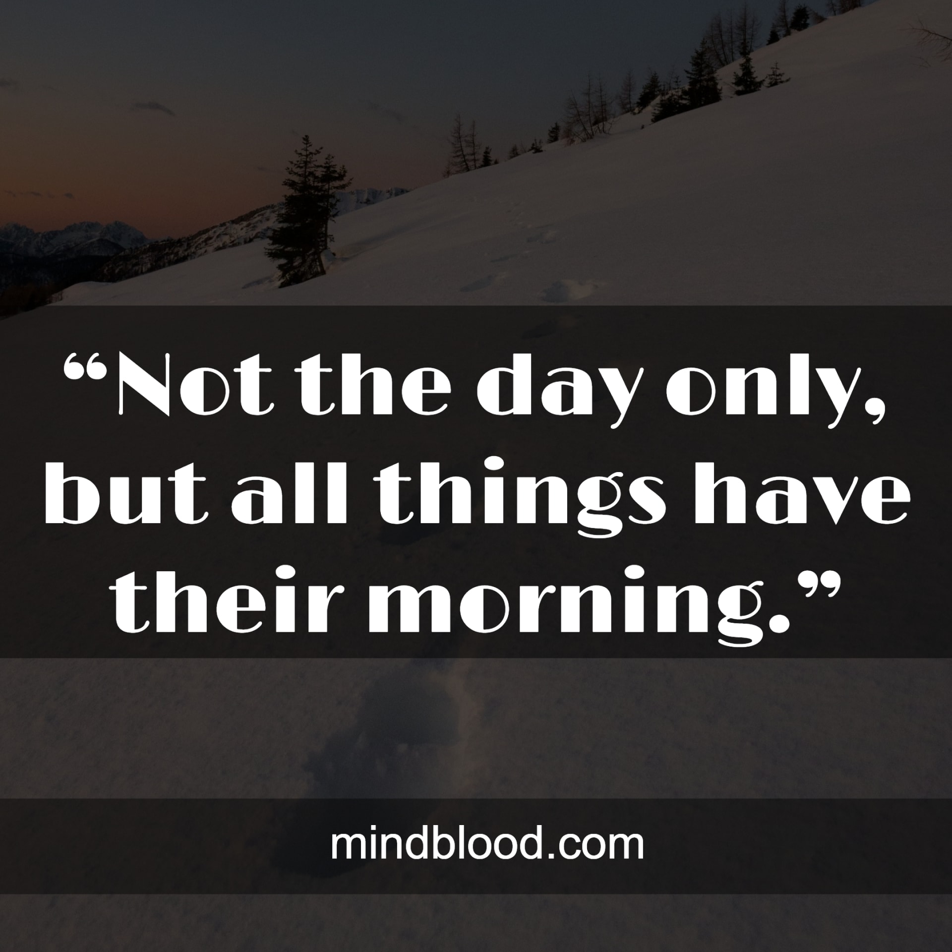 Top 23 Good Morning Quotes With Images in English - Mind Blood