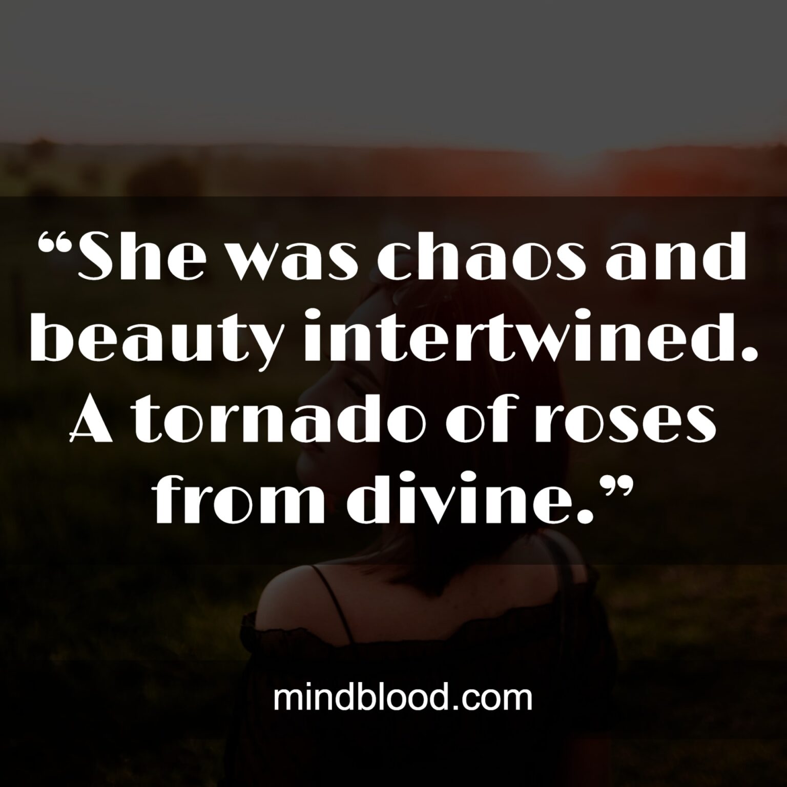 Not Fragile Like a Flower Fragile Like a Bomb Quotes (Top 25) - Mind Blood