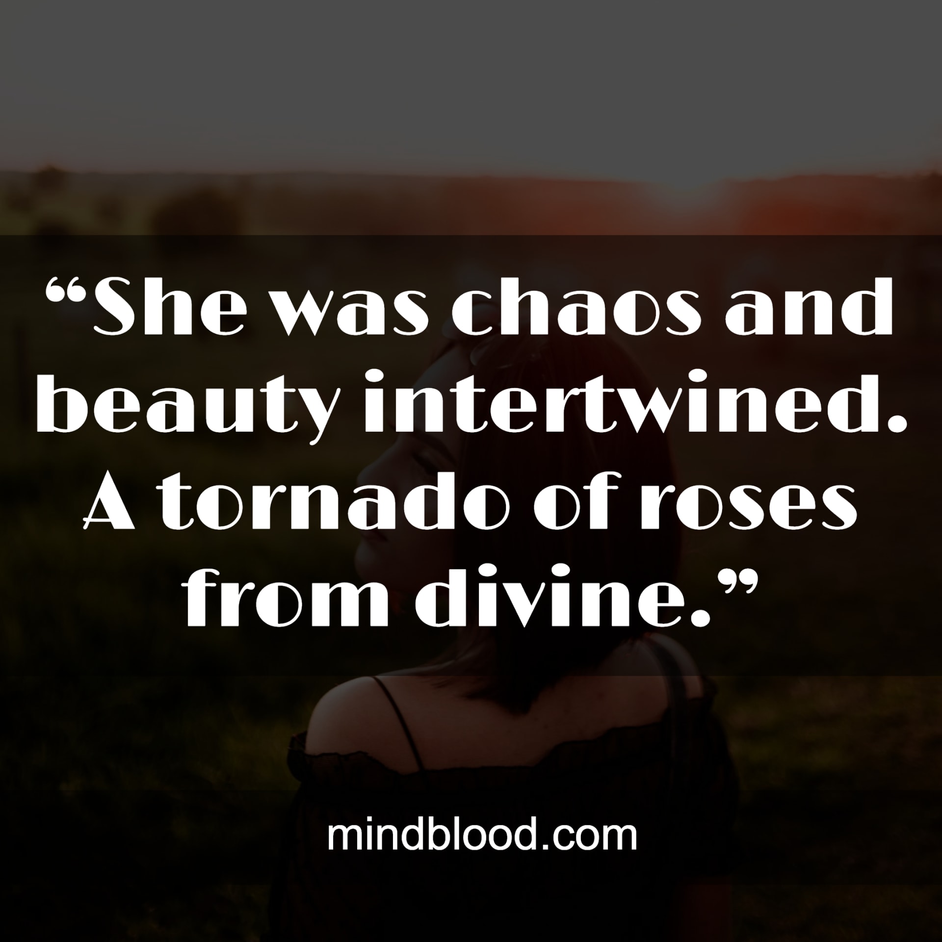 Not Fragile Like a Flower Fragile Like a Bomb Quotes (Top 25) - Mind Blood
