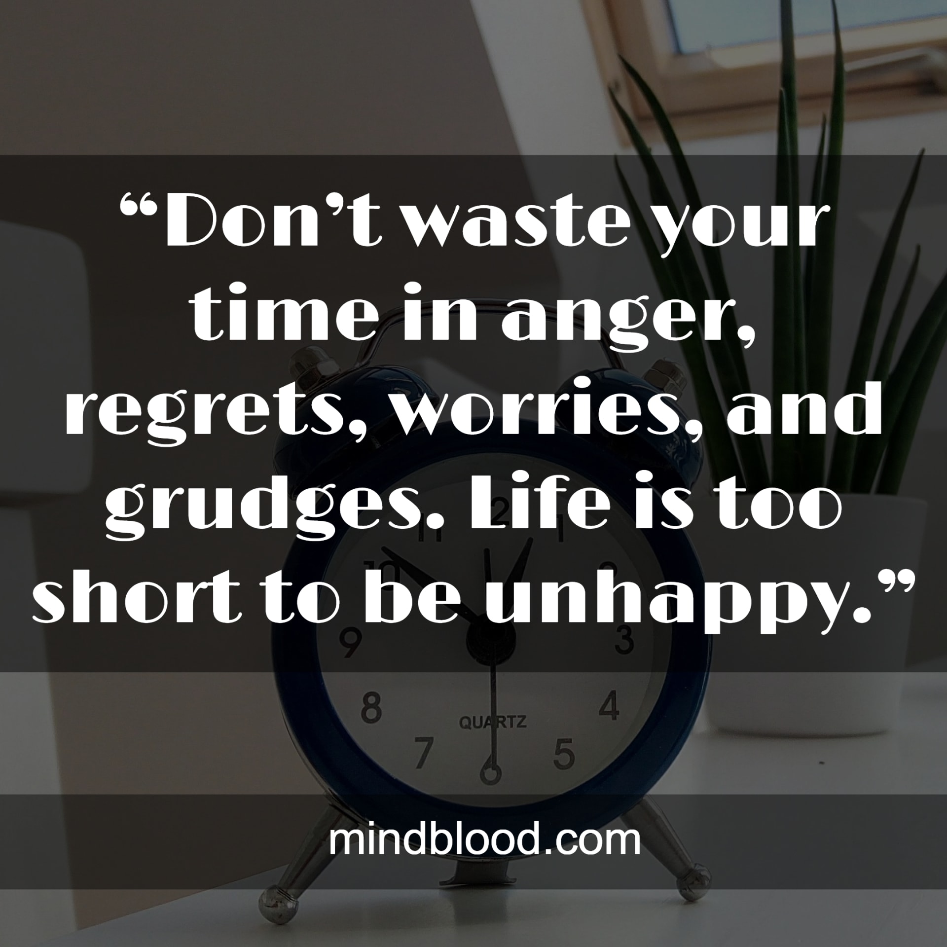 Here For a Good Time Not a Long Time Quotes (Top 25) - Mind Blood
