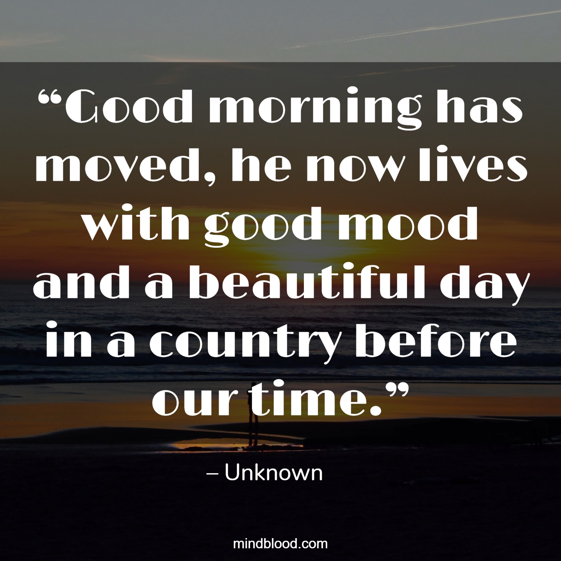 Funny Morning Quotes to Start the Day(Top 23) - Mind Blood