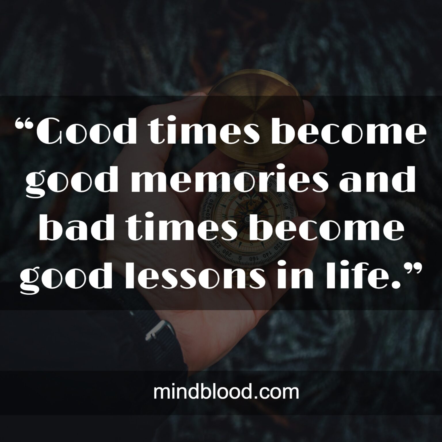 Here For a Good Time Not a Long Time Quotes (Top 25) - Mind Blood