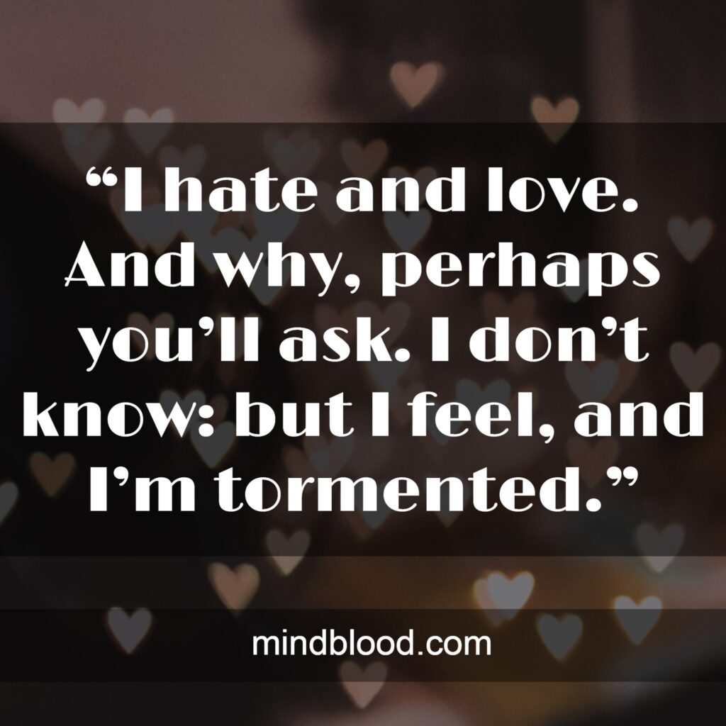 Quotes about hating someone you used to love(Top 28) - Mind Blood