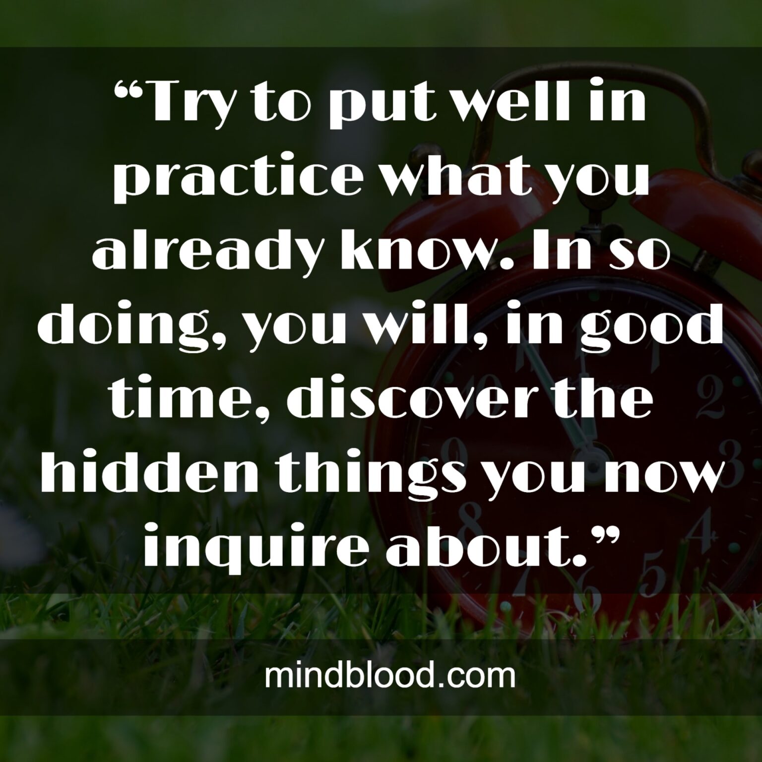 Here For a Good Time Not a Long Time Quotes (Top 25) - Mind Blood