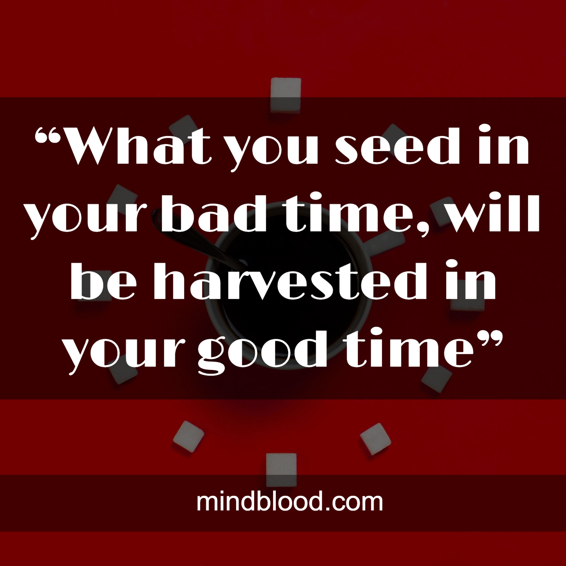 Here For a Good Time Not a Long Time Quotes (Top 25) - Mind Blood