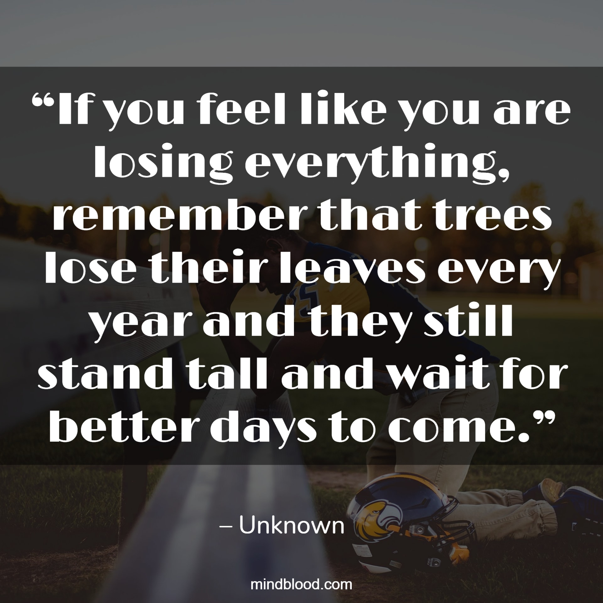 I Never Lose, I Either Win Or Learn – Nelson Mandela (With Similar ...