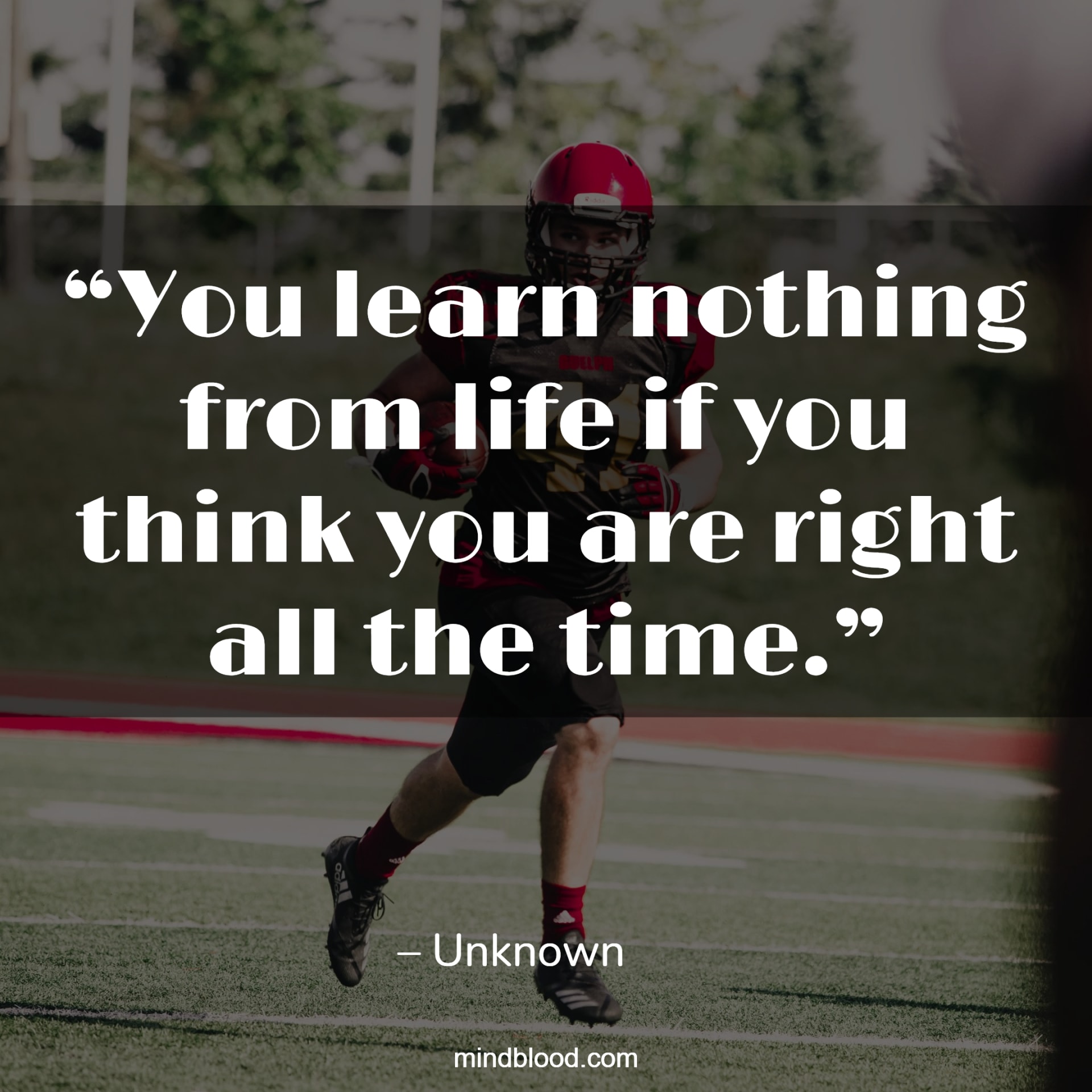 I Never Lose, I Either Win Or Learn – Nelson Mandela (With Similar ...